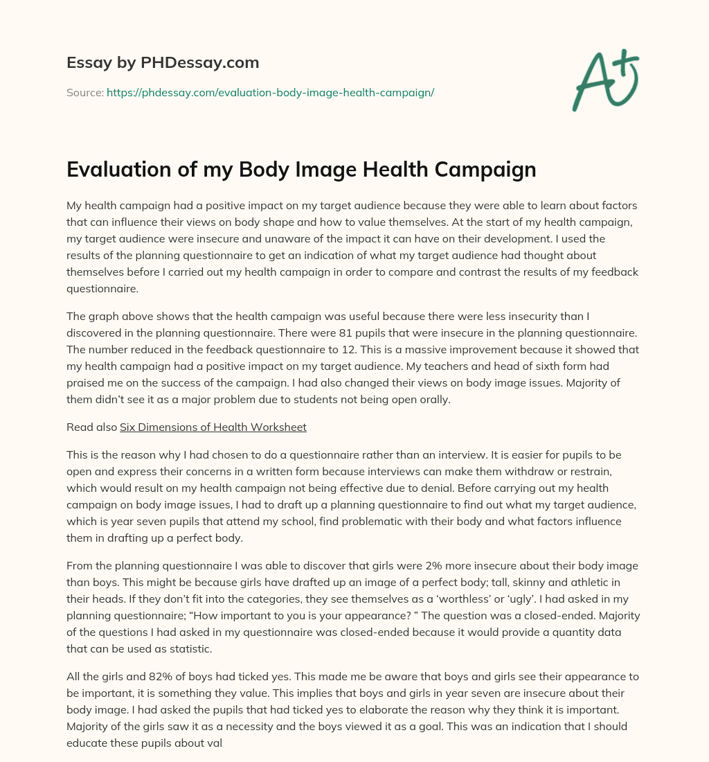 Evaluation of my Body Image Health Campaign - PHDessay.com