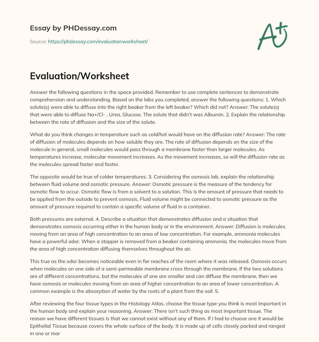 Evaluation/Worksheet (500 Words) - PHDessay.com