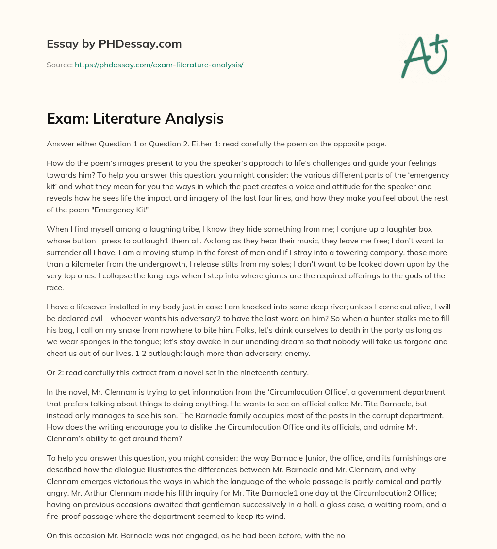 Exam: Literature Analysis - PHDessay.com
