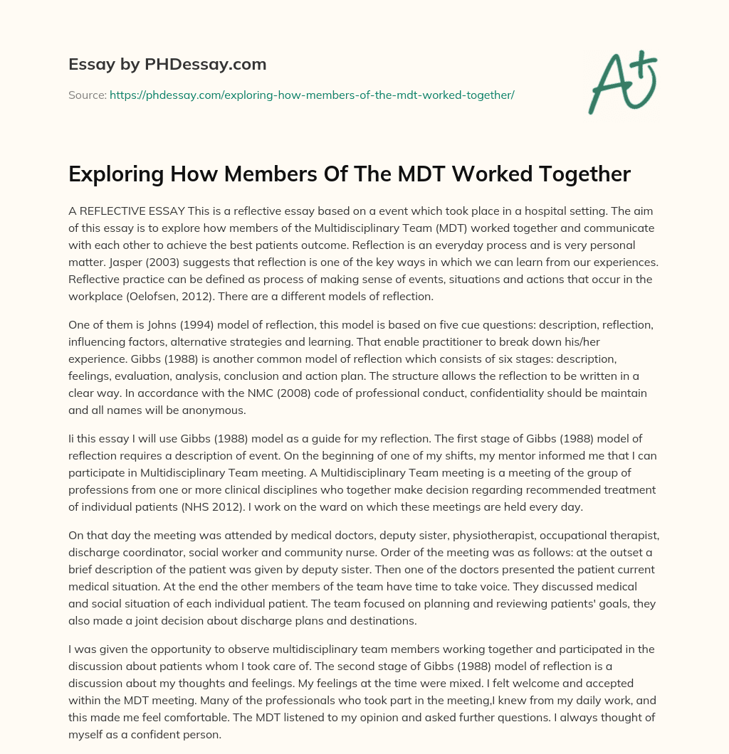 Exploring How Members Of The MDT Worked Together - PHDessay.com