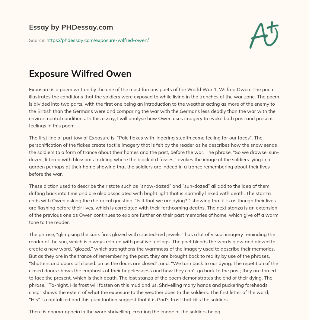 Exposure Wilfred Owen Analysis Example - PHDessay.com