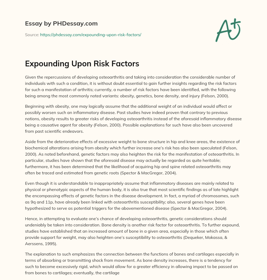 Expounding Upon Risk Factors - PHDessay.com