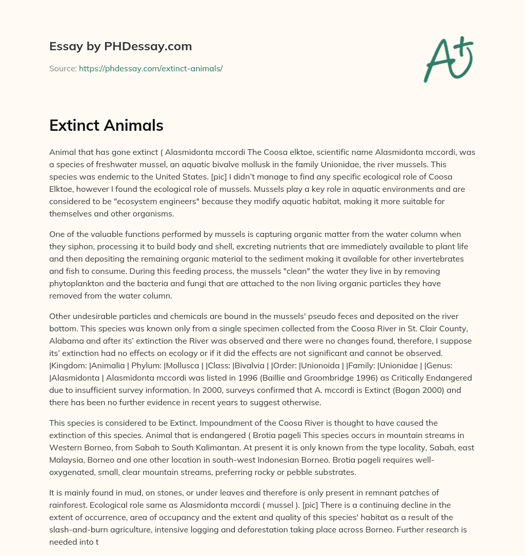 Extinct Animals - PHDessay.com