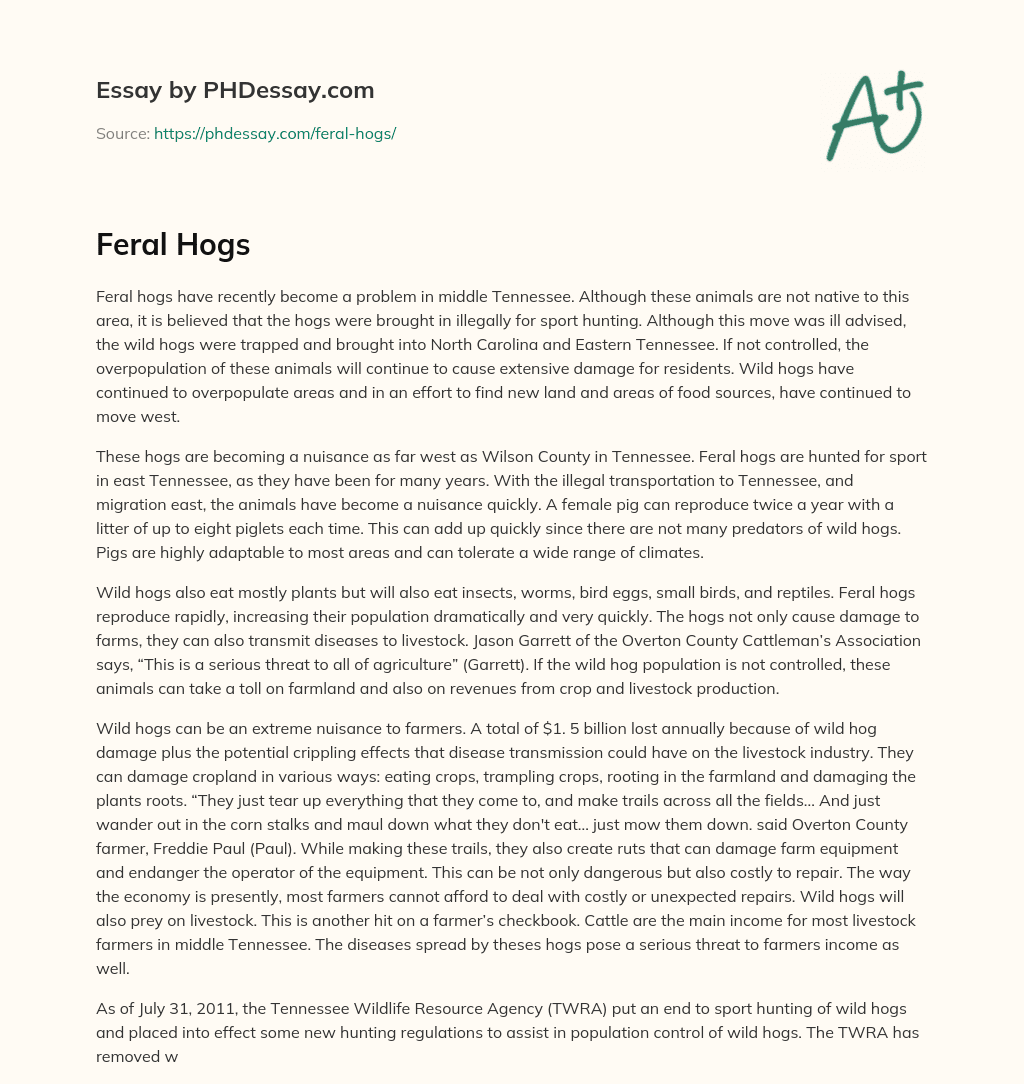 Feral Hogs - PHDessay.com