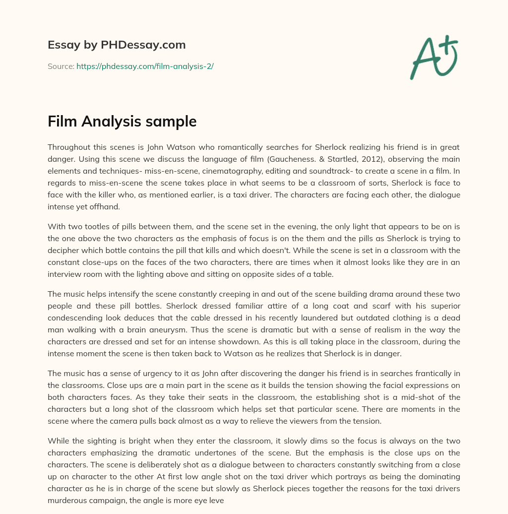 Film Analysis sample - PHDessay.com