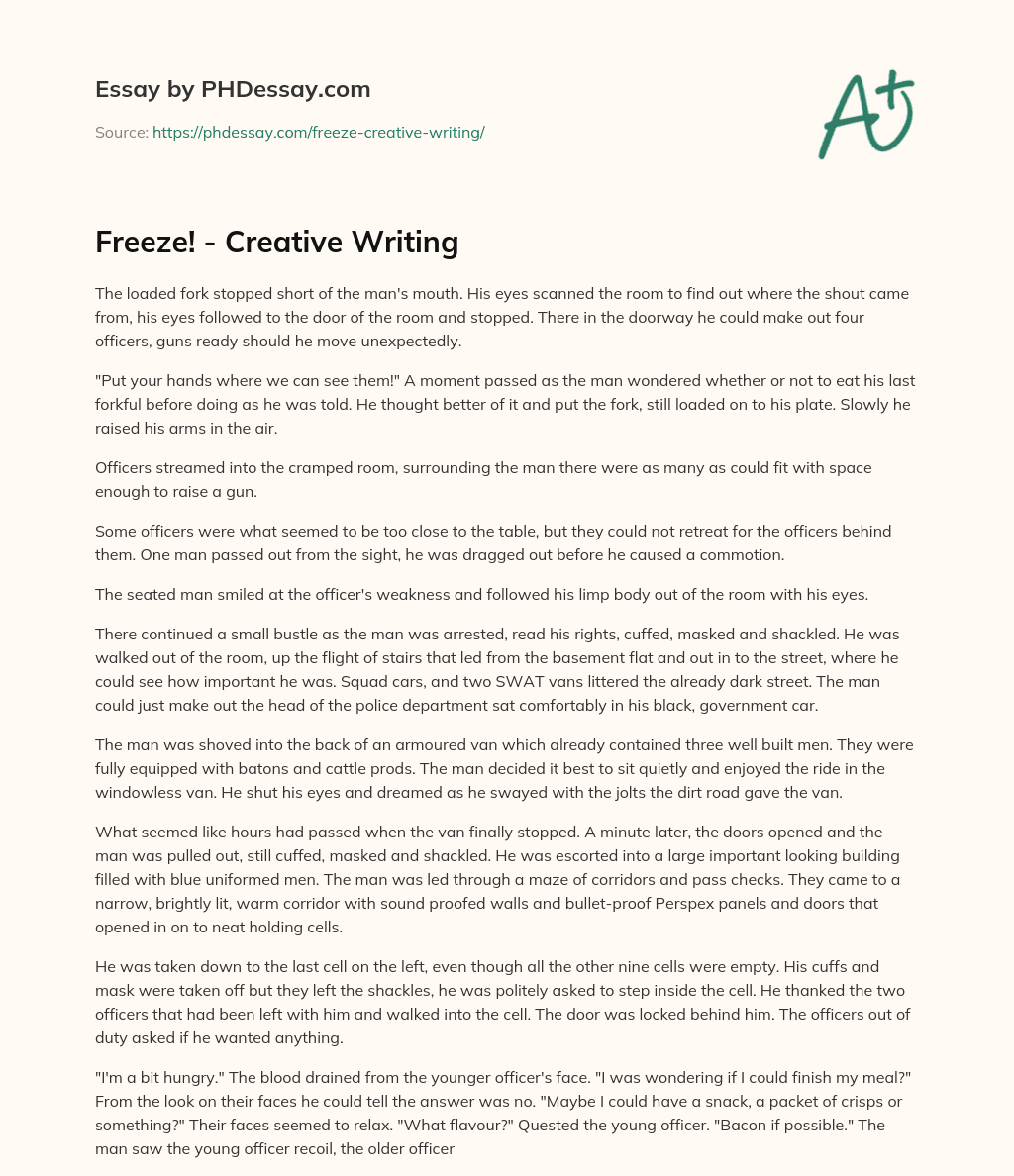 Freeze! - Creative Writing - PHDessay.com