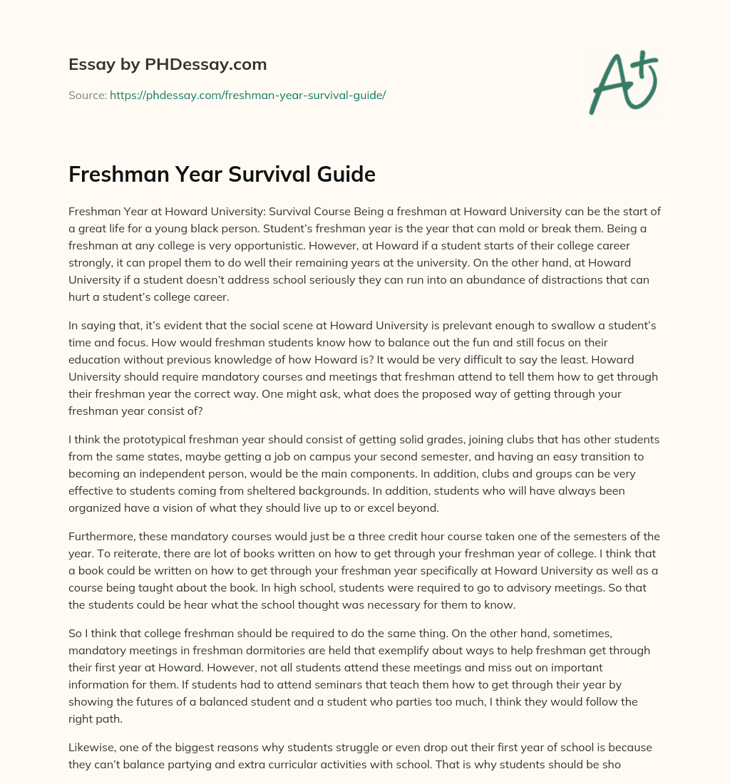 Freshman Year Survival Guide College Essay Example - PHDessay.com