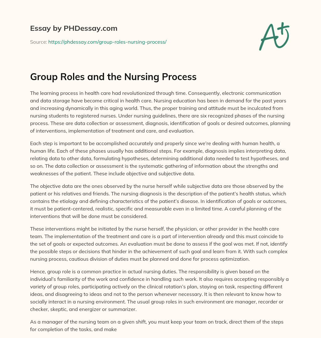 Group Roles and the Nursing Process - PHDessay.com