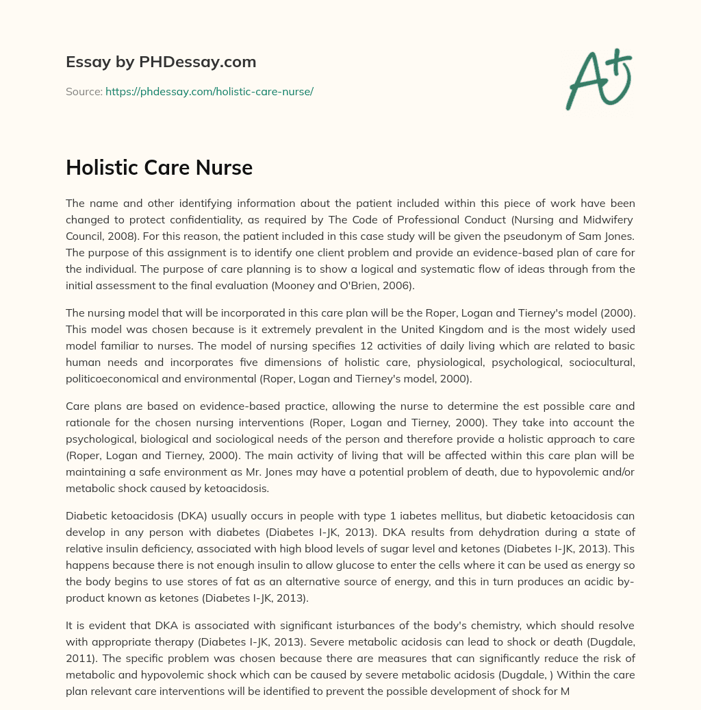 Holistic Care Nurse (600 Words) - PHDessay.com