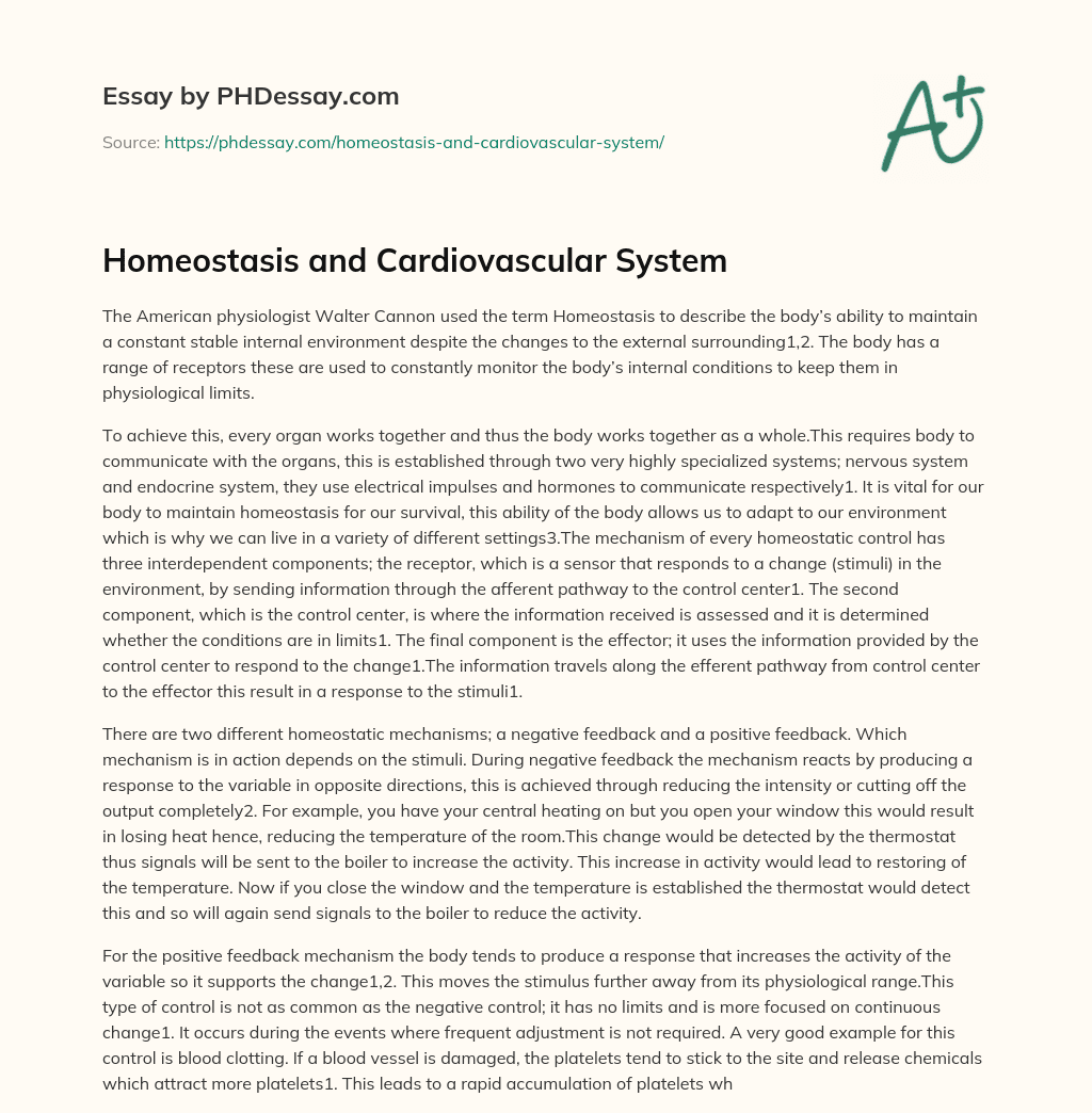 Homeostasis and Cardiovascular System - PHDessay.com