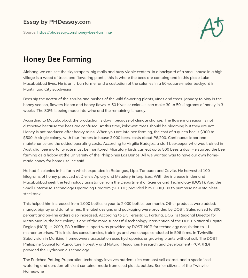 Honey Bee Farming (500 Words) - PHDessay.com