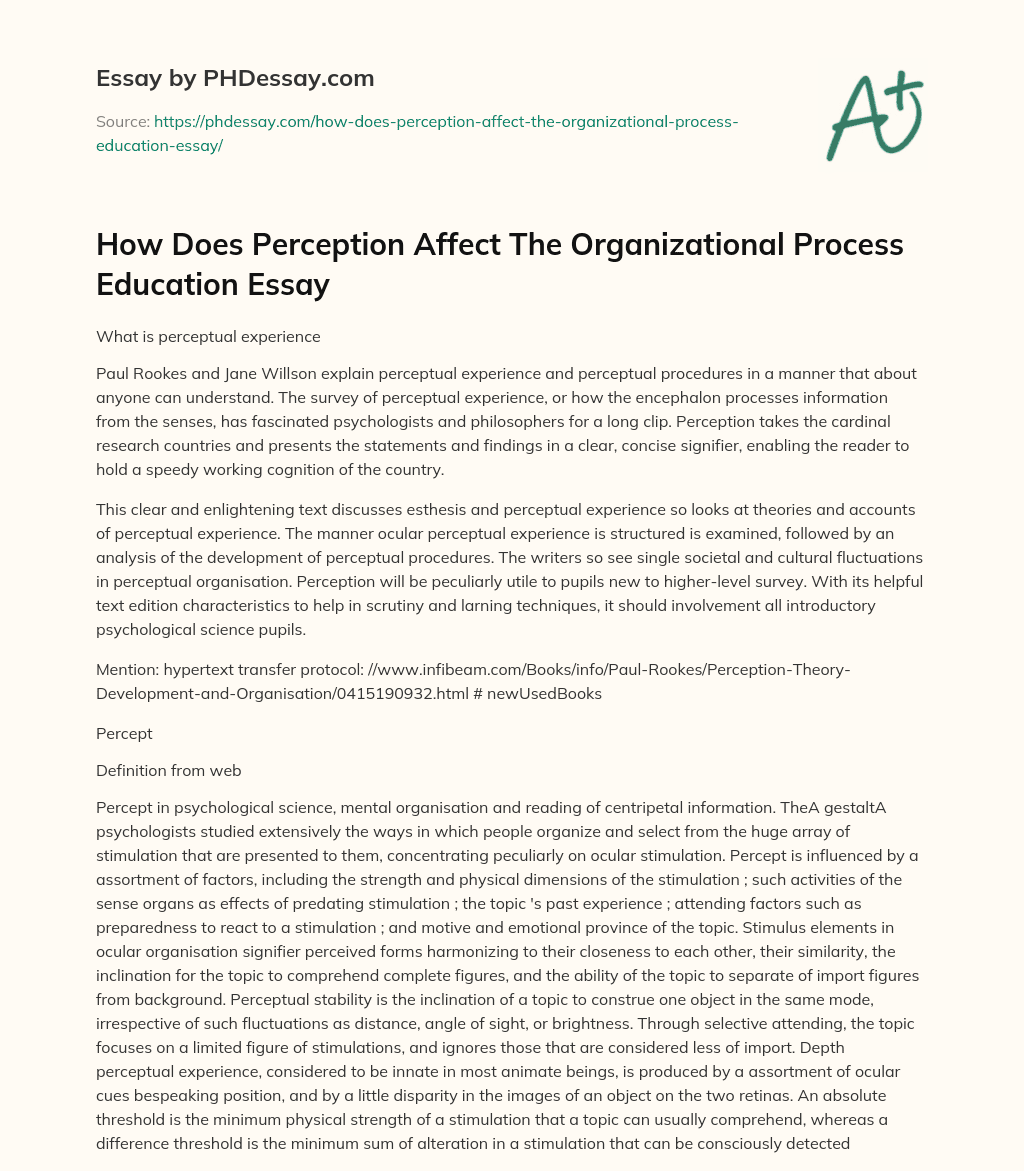 How Does Perception Affect The Organizational Process Education Essay ...