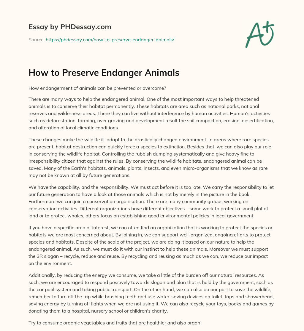 How to Preserve Endanger Animals - PHDessay.com