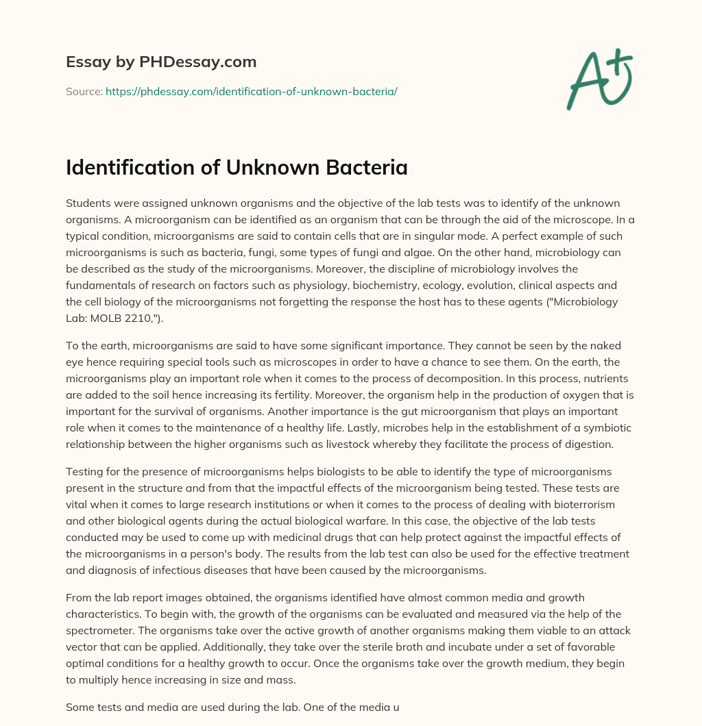 Identification of Unknown Bacteria - PHDessay.com