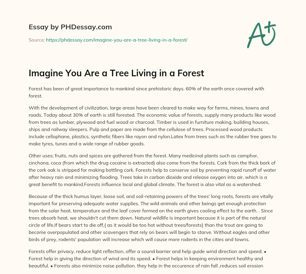 Imagine You Are a Tree Living in a Forest (400 Words) - PHDessay.com