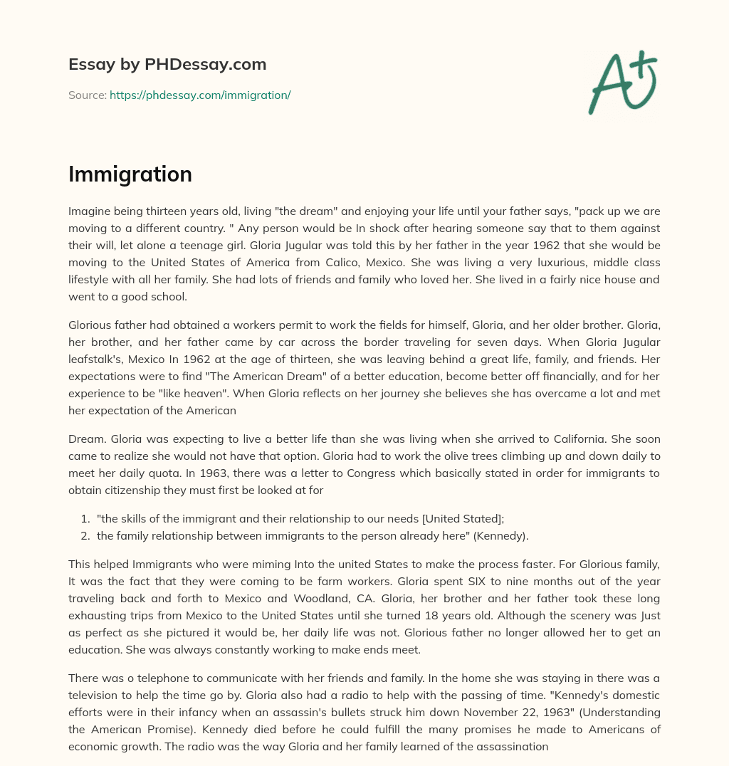 Immigration - PHDessay.com