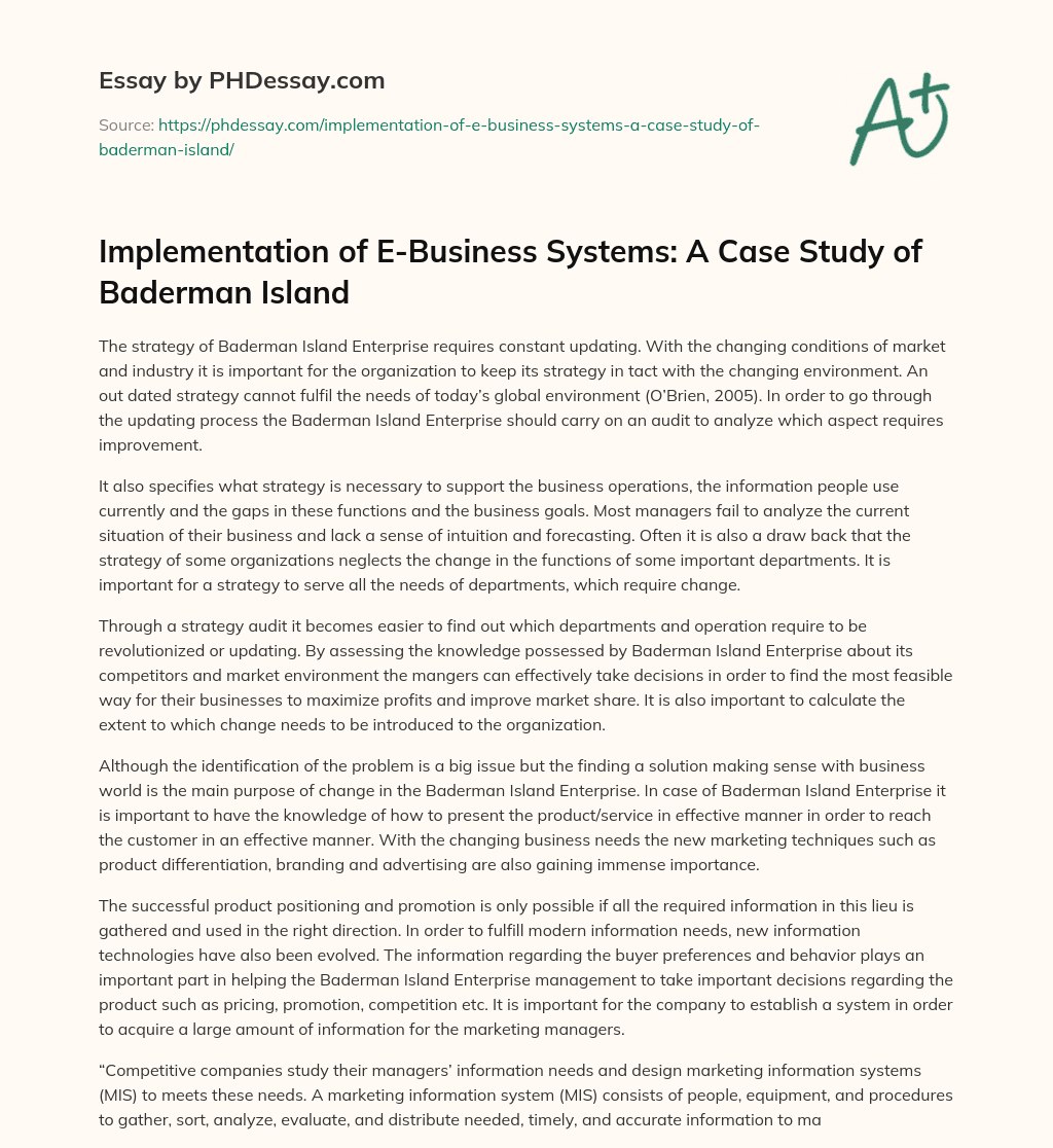 Implementation of E-Business Systems: A Case Study of Baderman Island - PHDessay.com