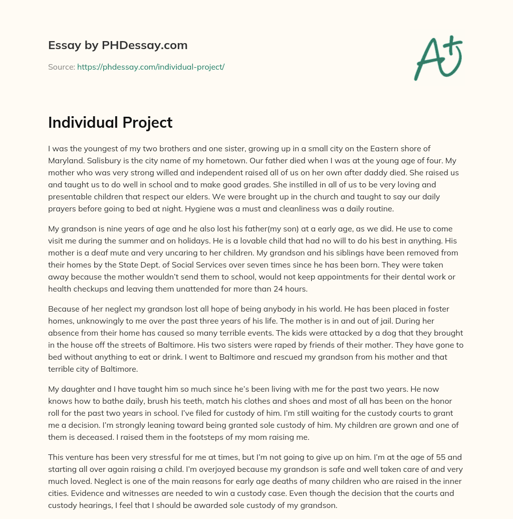 Individual Project (600 Words) - PHDessay.com