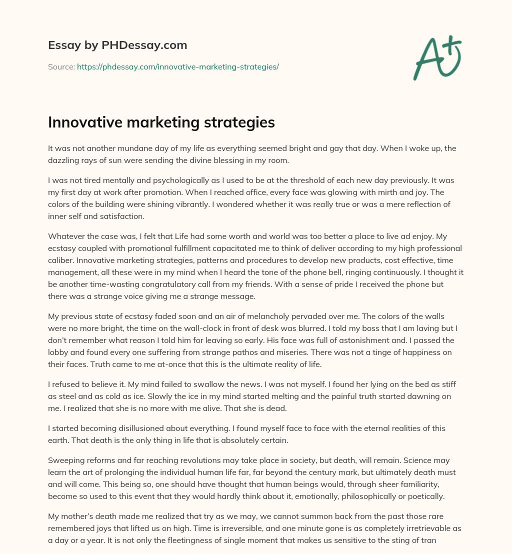 Innovative marketing strategies - PHDessay.com