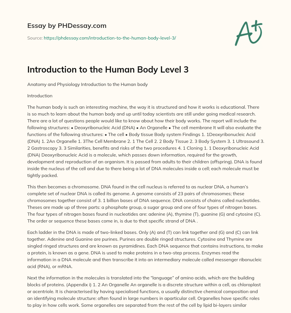 Introduction to the Human Body Level 3 - PHDessay.com
