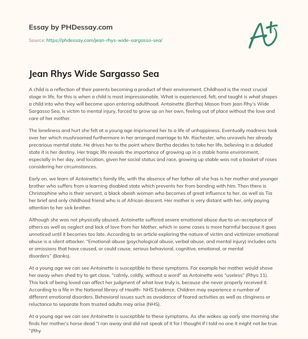 Jean Rhys Wide Sargasso Sea - PHDessay.com