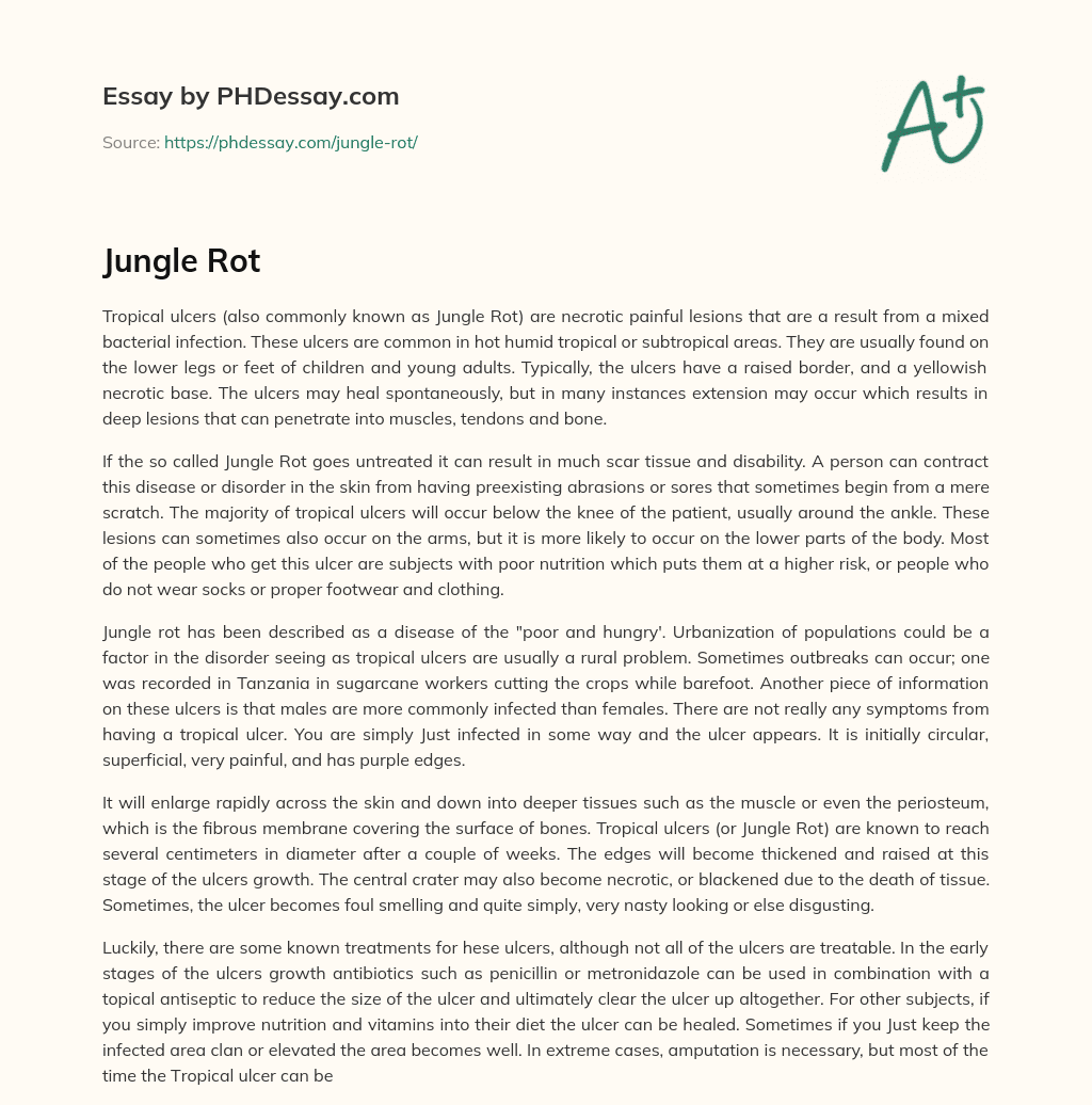 Jungle Rot - PHDessay.com