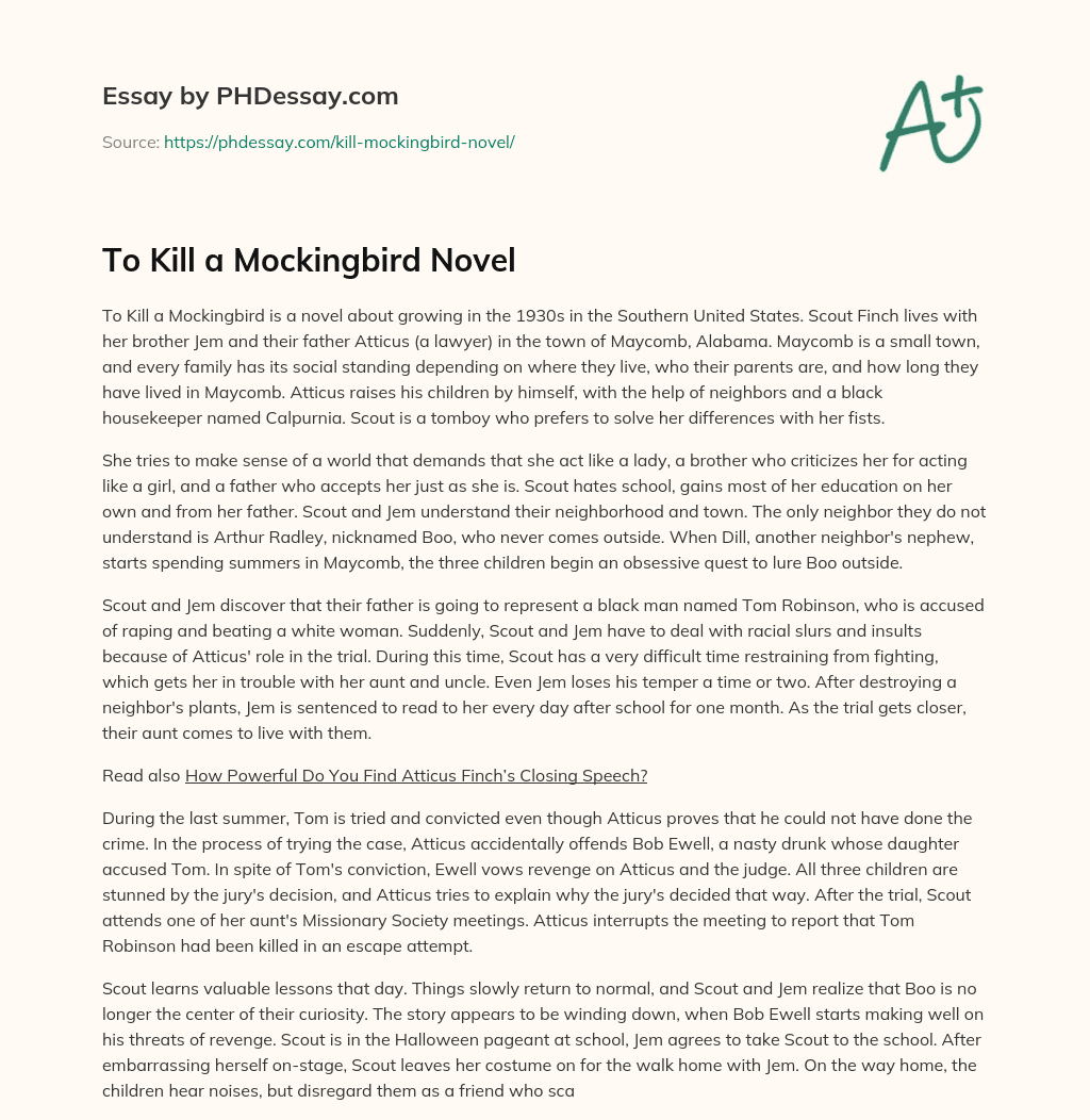 To Kill a Mockingbird Novel - PHDessay.com
