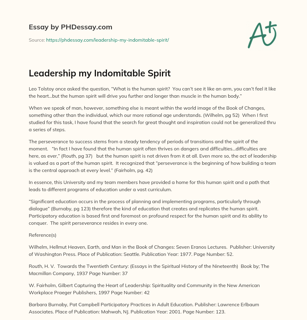 Leadership My Indomitable Spirit Example (400 Words) - PHDessay.com