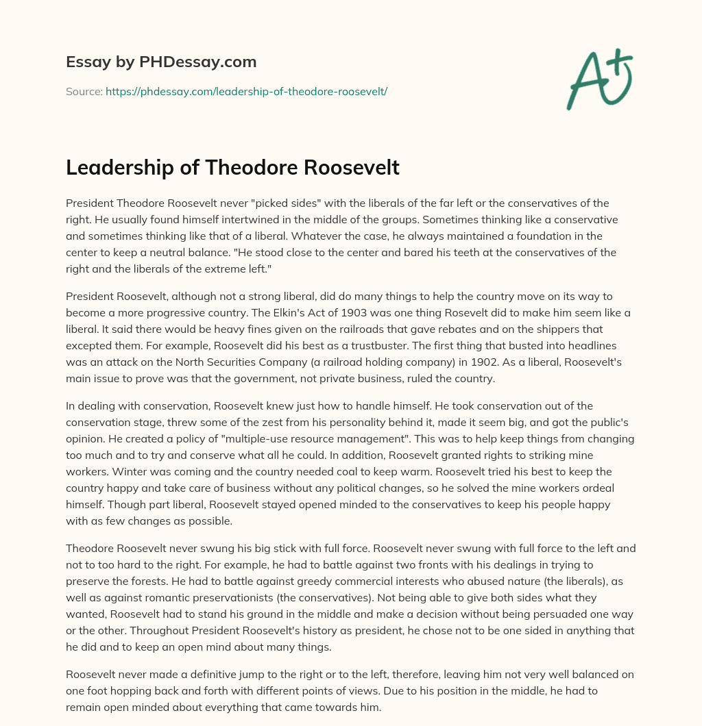 Leadership of Theodore Roosevelt (500 Words) - PHDessay.com