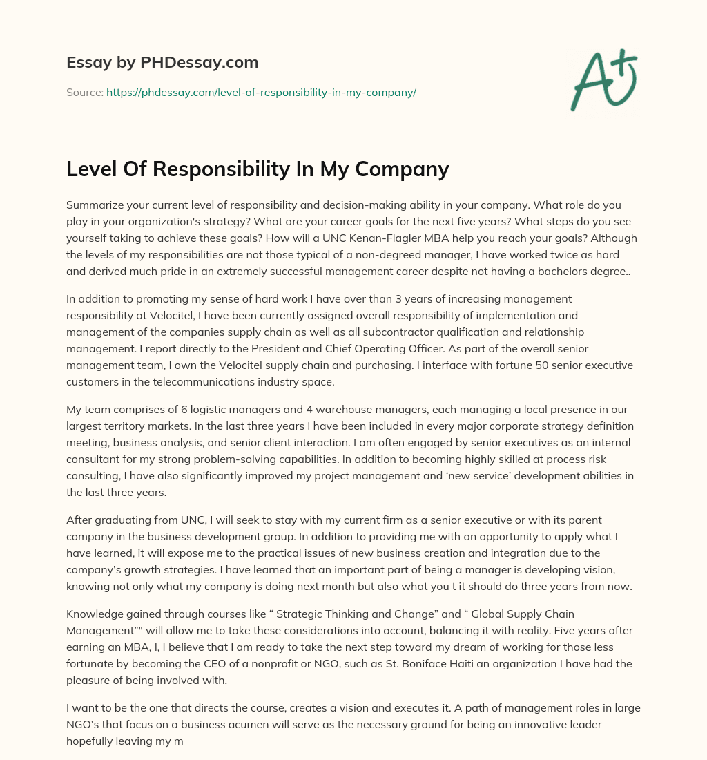 Level Of Responsibility In My Company - PHDessay.com