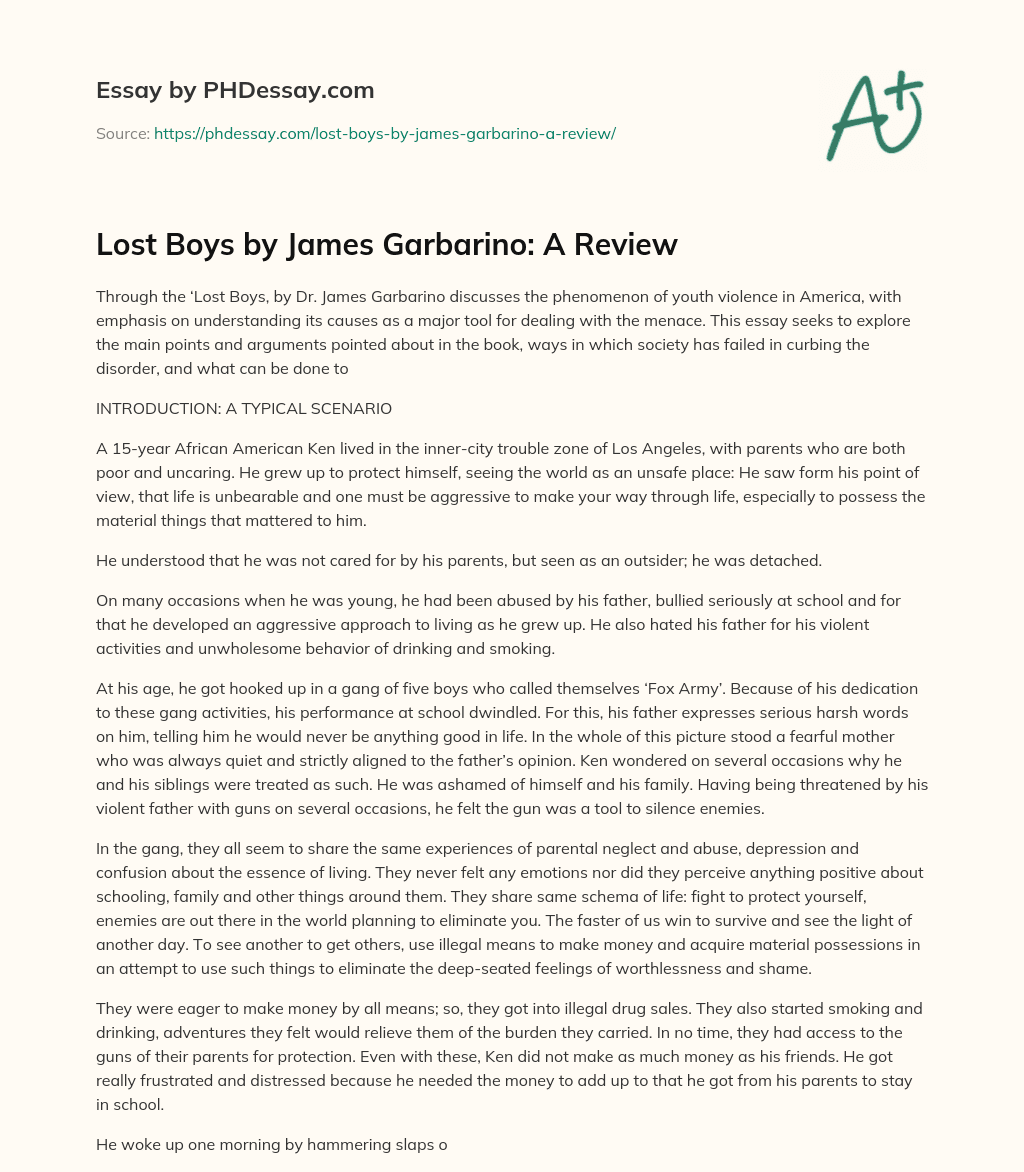 Lost Boys by James Garbarino: A Review - PHDessay.com