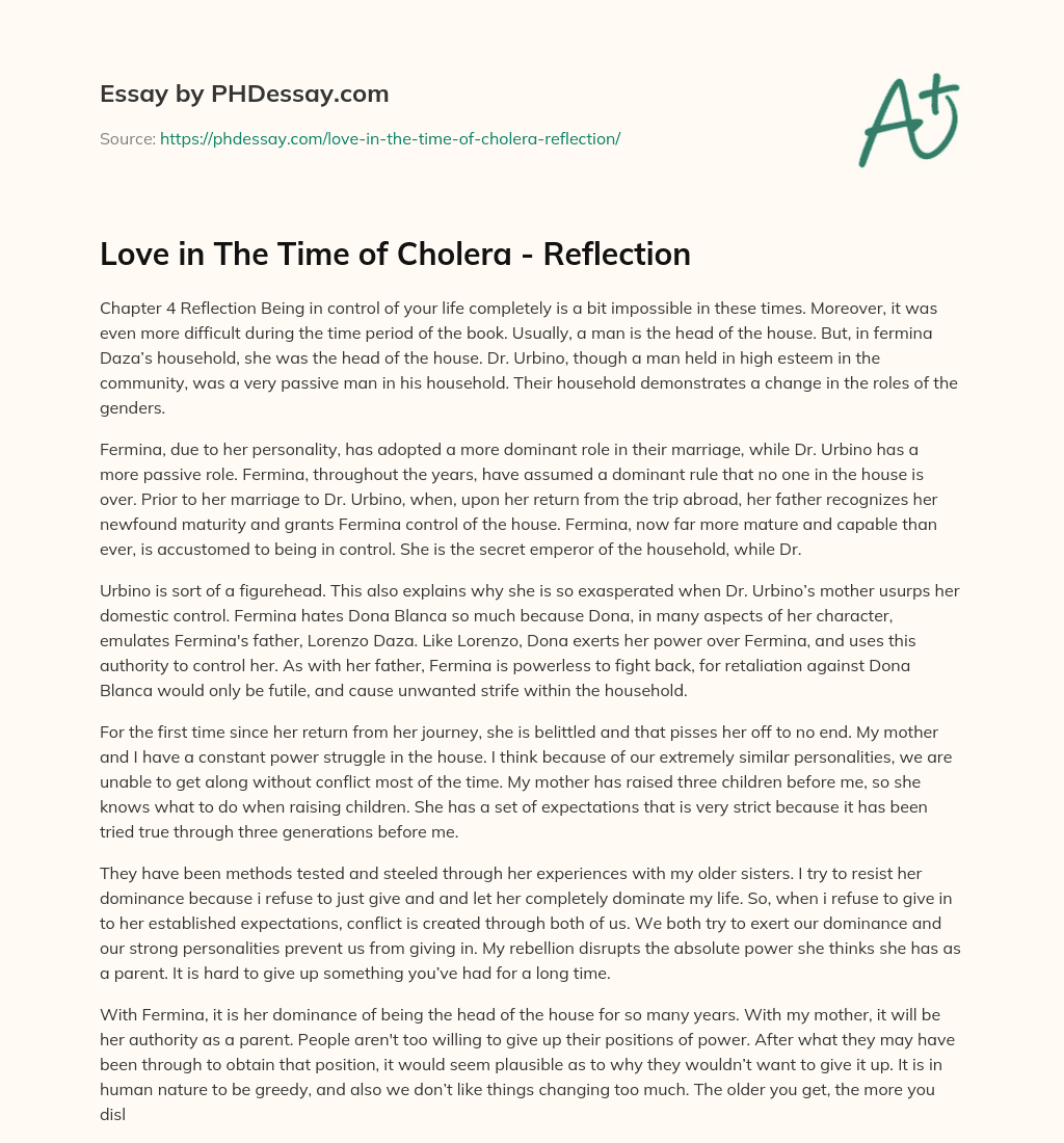 Love In The Time Of Cholera - Reflection Paper Example (500 Words ...