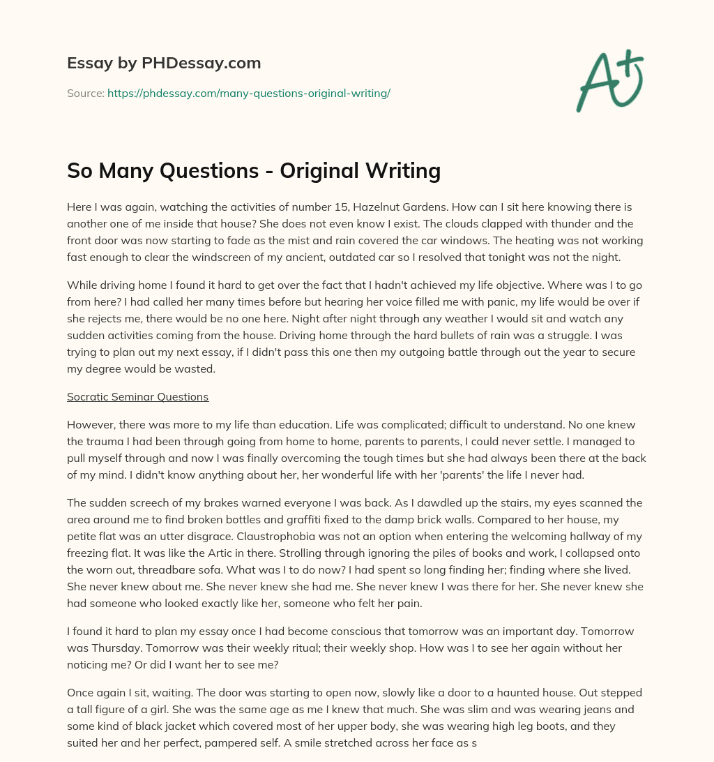 So Many Questions - Original Writing - PHDessay.com