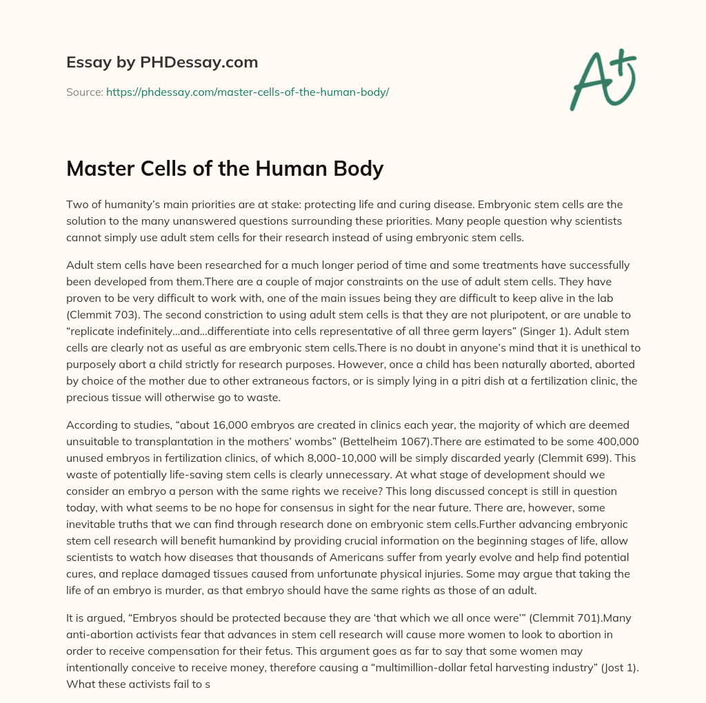 Master Cells of the Human Body - PHDessay.com