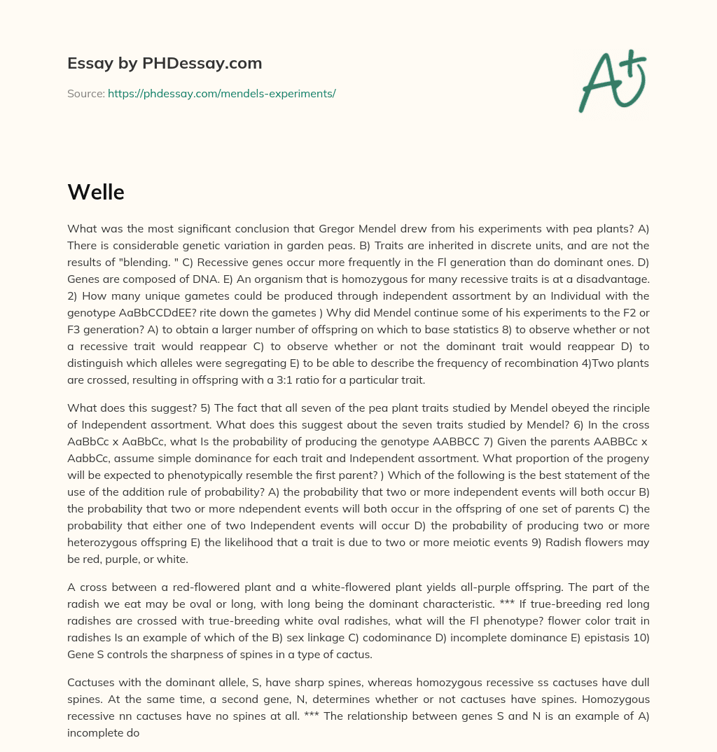 Welle - PHDessay.com