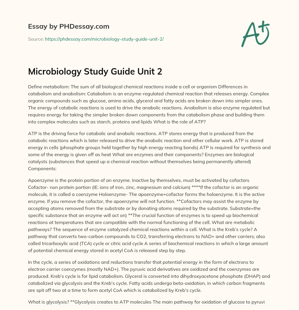 Microbiology Study Guide Unit 2 - PHDessay.com