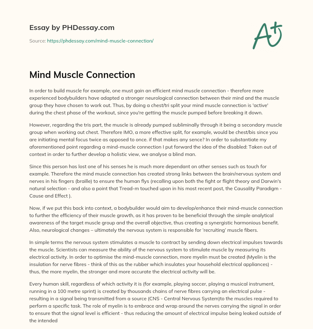Mind Muscle Connection - PHDessay.com