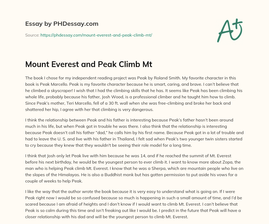 Mount Everest And Peak Climb Mt Essay Example (400 Words) - PHDessay.com