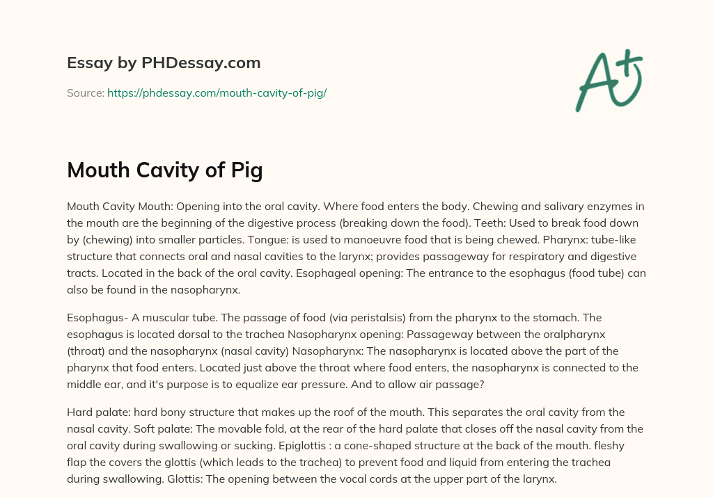 Mouth Cavity of Pig (300 Words) - PHDessay.com