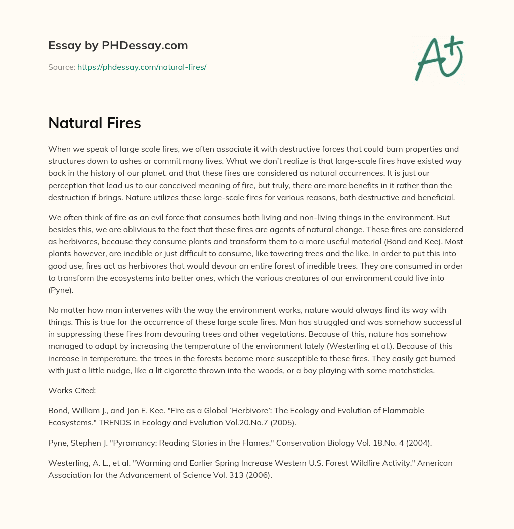 Natural Fires (400 Words) - PHDessay.com