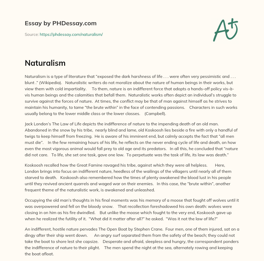 Naturalism - PHDessay.com