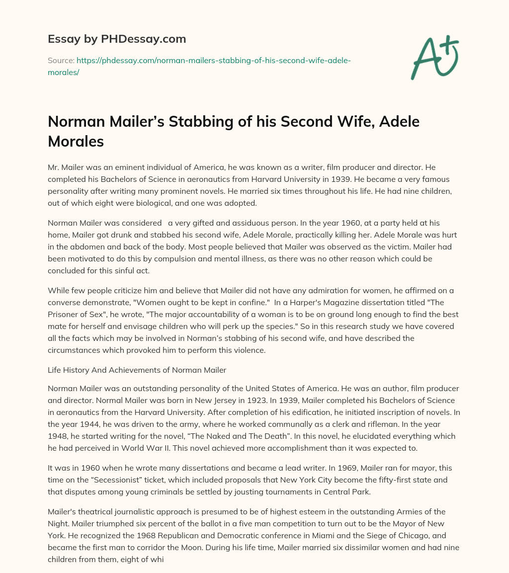 Norman Mailer’S Stabbing Of His Second Wife, Adele Morales Essay ...