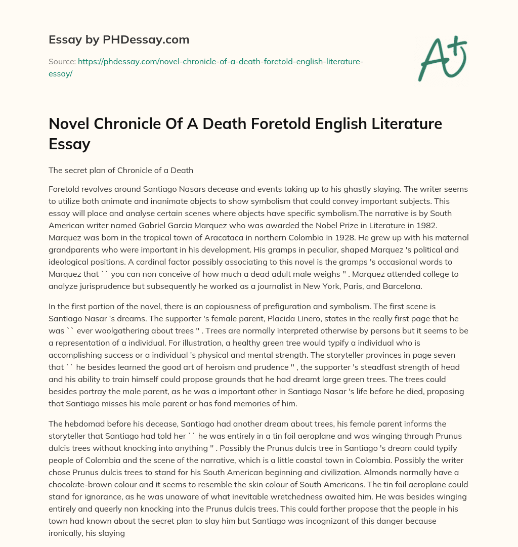 Novel Chronicle Of A Death Foretold English Literature Essay - PHDessay.com