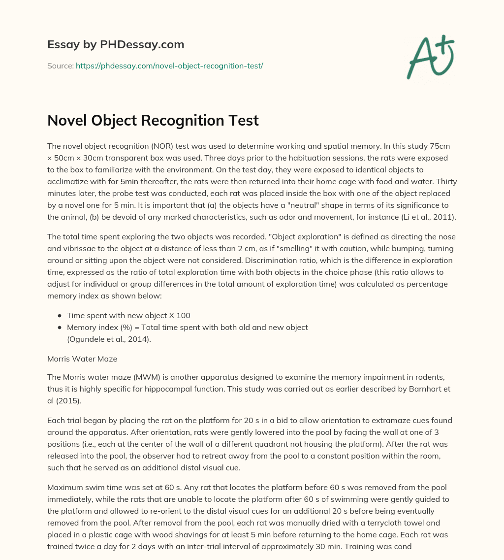 Novel Object Recognition Test 600 Words