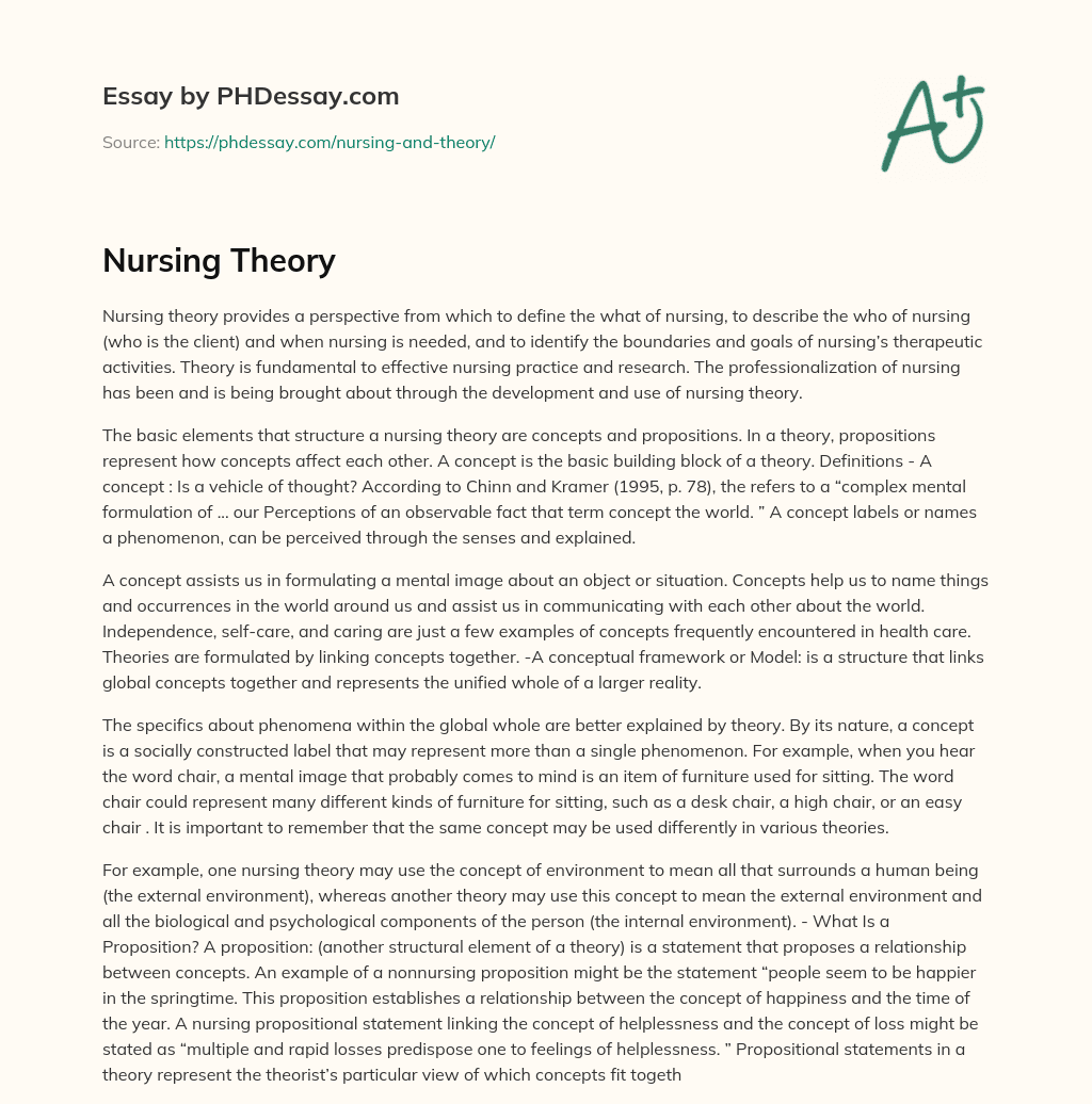 Nursing Theory - PHDessay.com