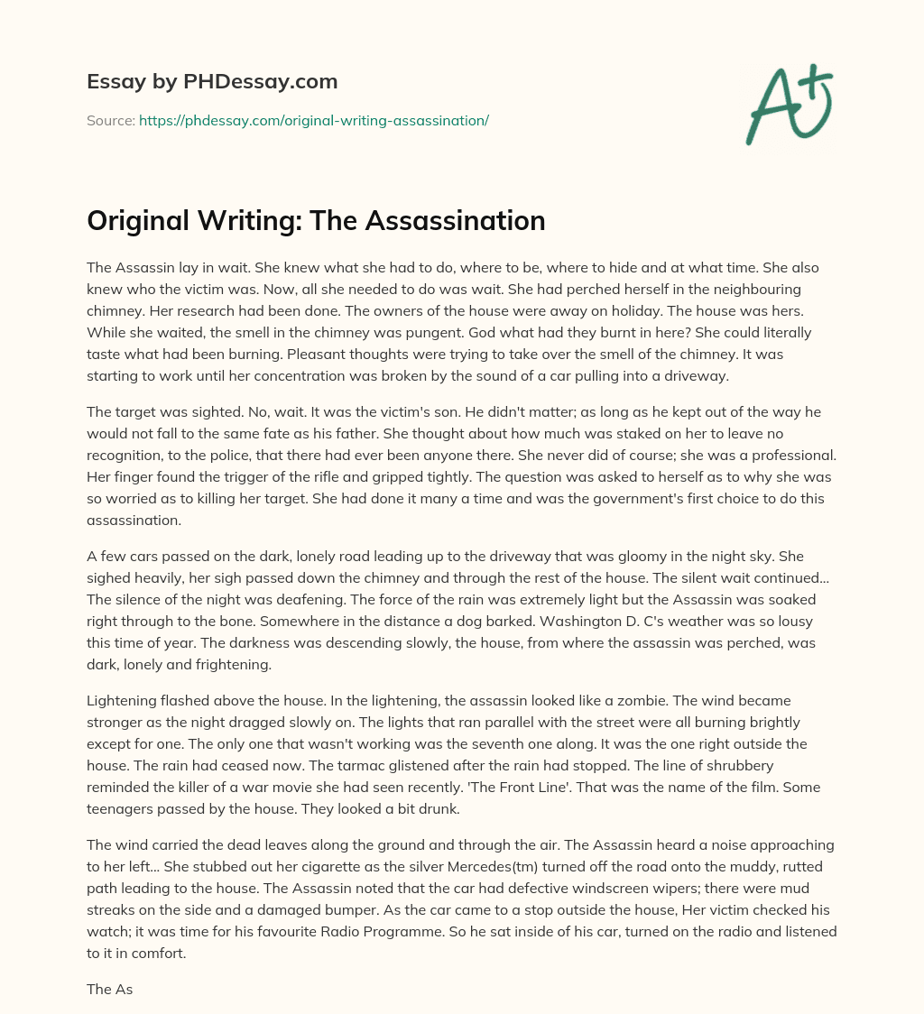 Original Writing: The Assassination - PHDessay.com