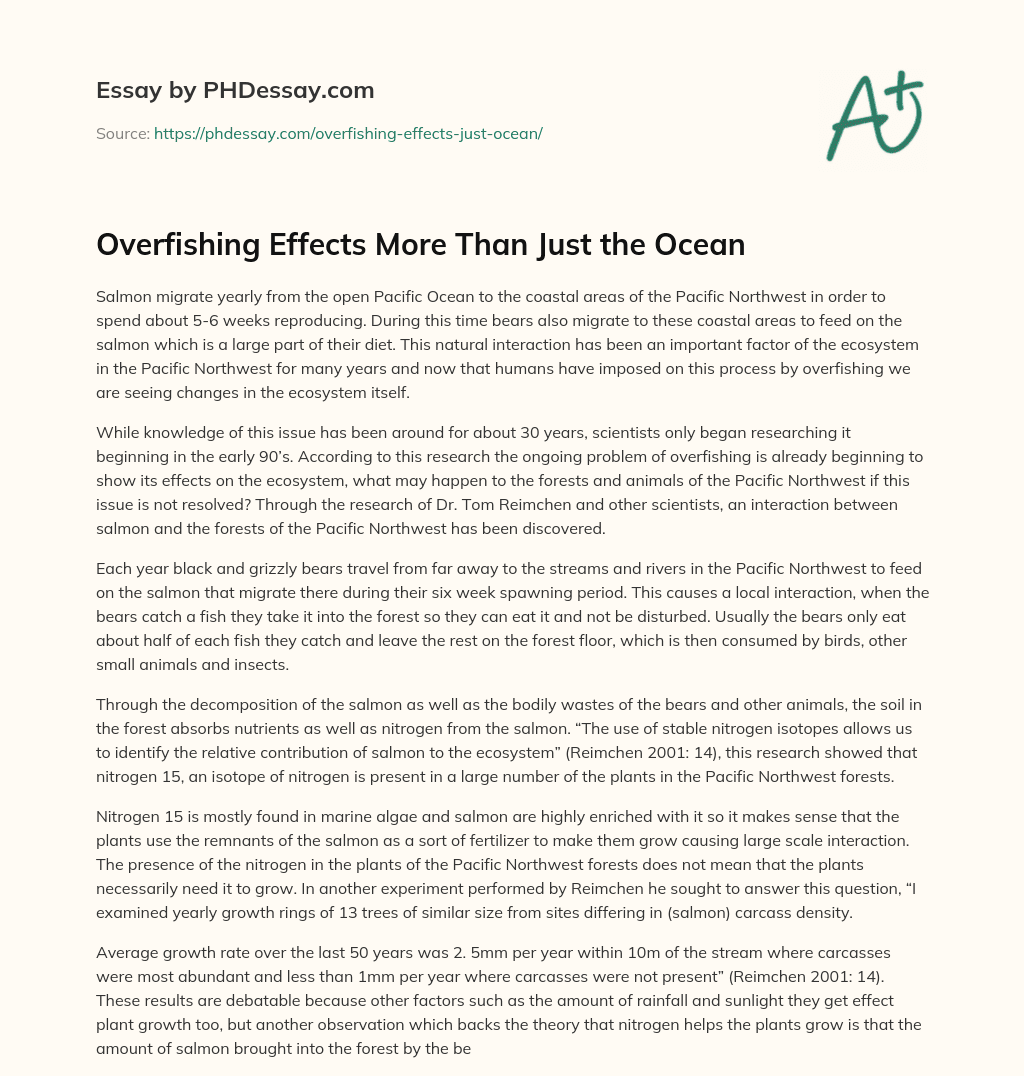 Overfishing Effects More Than Just the Ocean - PHDessay.com