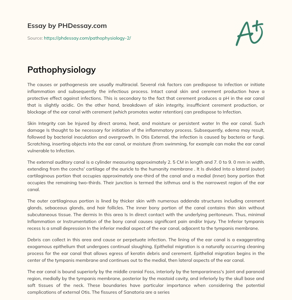 Pathophysiology (500 Words) - PHDessay.com