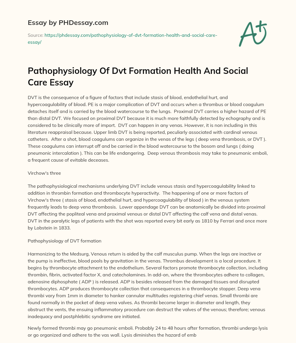 Pathophysiology Of Dvt Formation Health And Social Care Essay ...