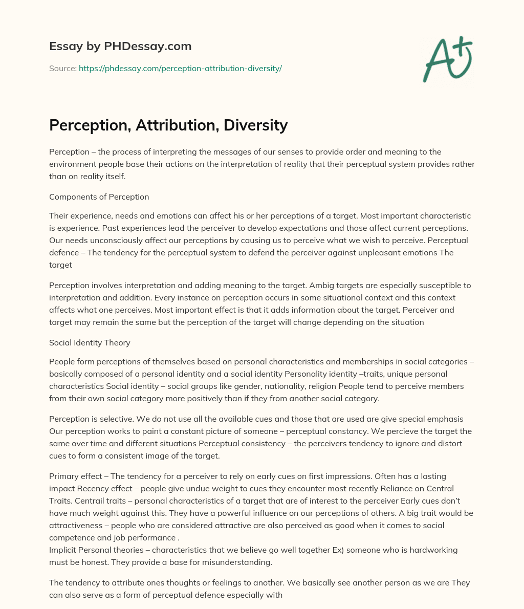 Perception Attribution Diversity Phdessay